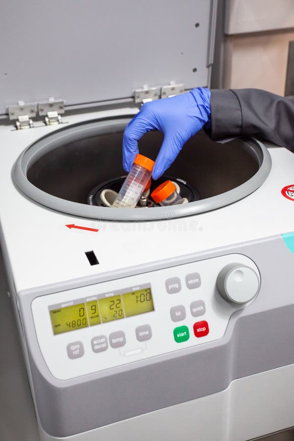 Laboratory Assistant in the Laboratory of Food Quality Stock Image ...