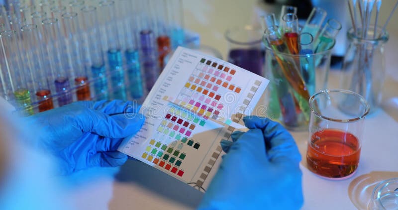 Assistant Holds Paper with Palette Comparing Color Patterns Stock Video ...