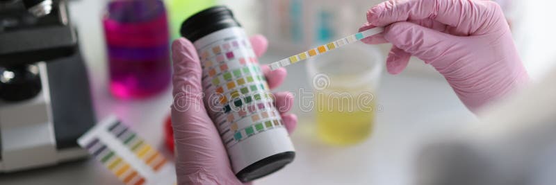 Laboratory Assistant Making Medical Test Using Testing Strip Stock ...