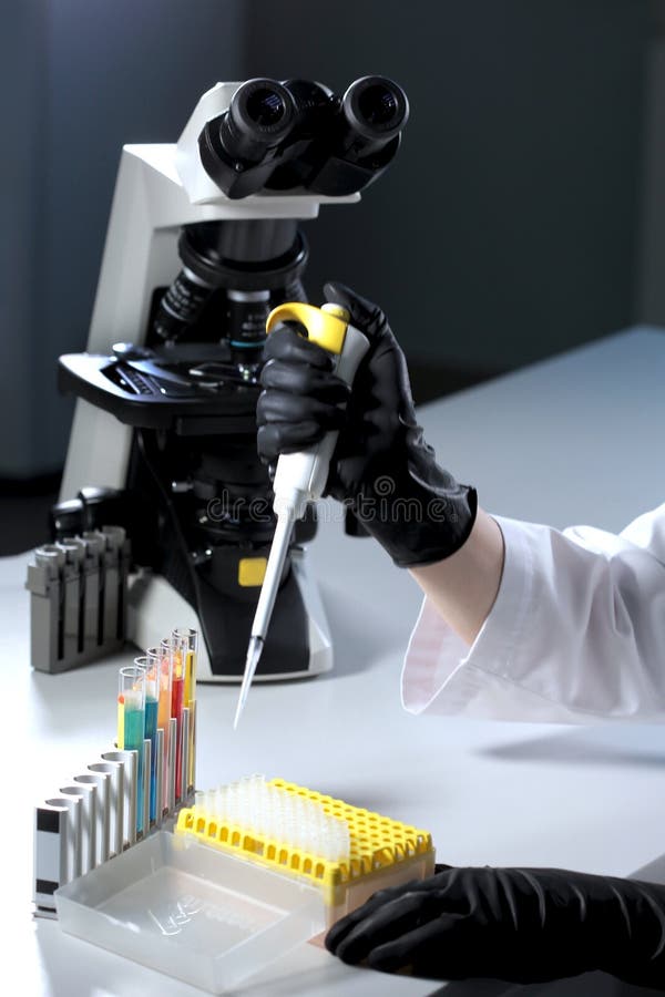 A Laboratory Assistant Performs Virus Tests in a Clinical Diagnostic ...