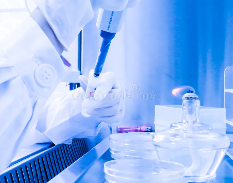 Laboratory Assistant in a Sterile Environment for Micro-sampling Stock ...