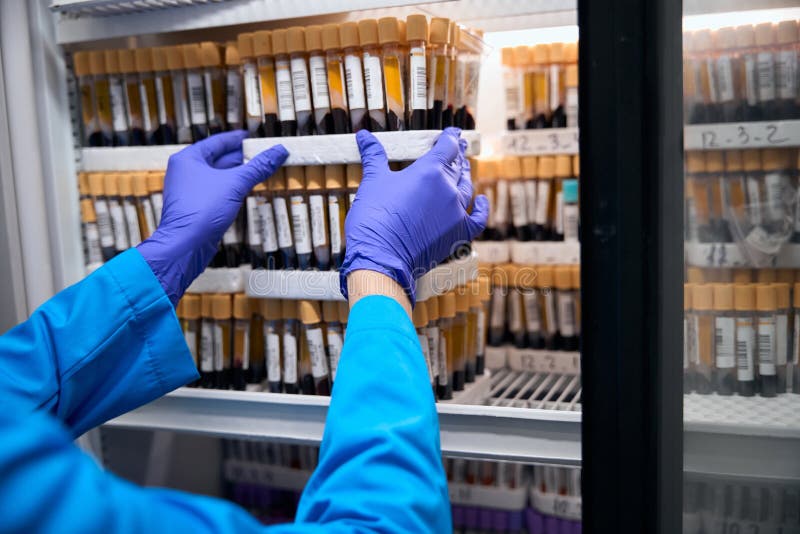Laboratory Assistant Takes Blood Samples in Test Tubes Stock Image ...