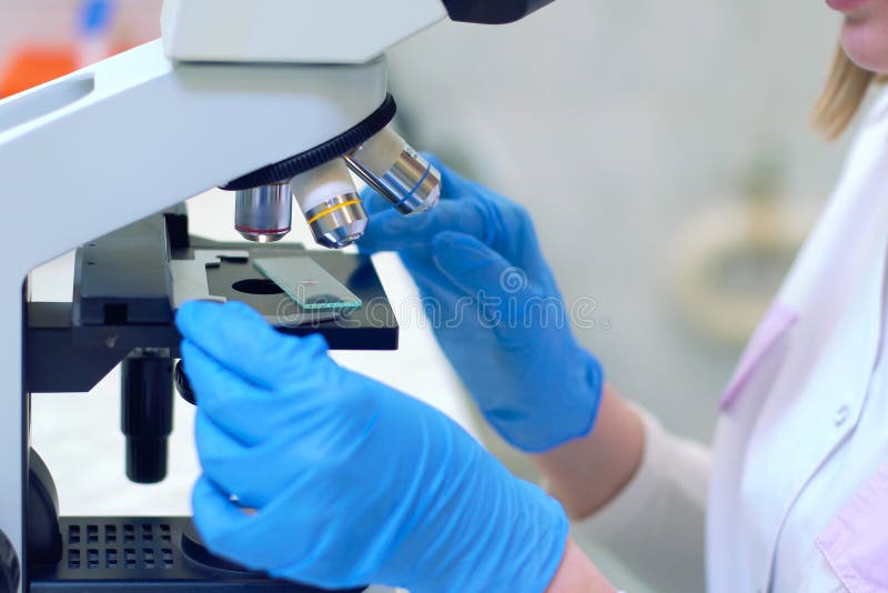 A Group of Scientists Conducts Research in a Scientific Laborato Stock ...