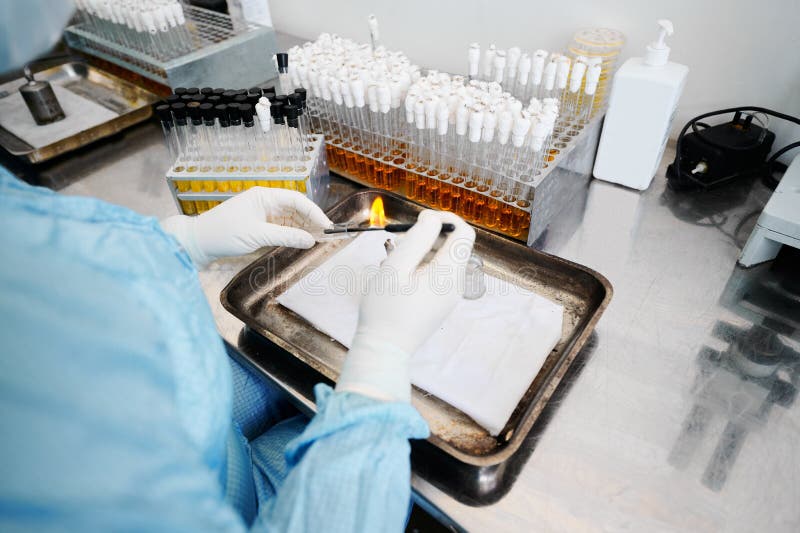 Laboratory Assistant Works on Creating Bacterial Culture Stock Image ...