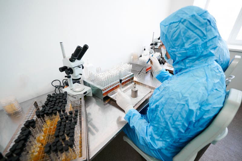Laboratory Assistant Works on Creating Bacterial Culture Stock Image ...