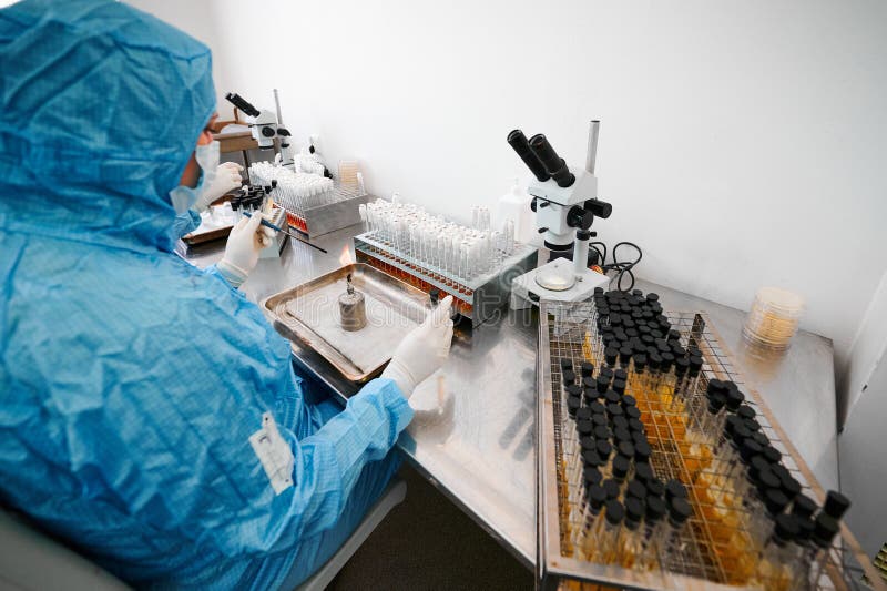 Laboratory Assistant Works on Creating Bacterial Culture Stock Photo ...