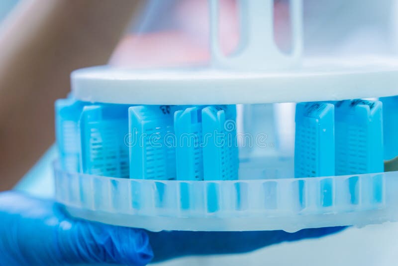 Laboratory Assistant Works with Microwave Hybrid Tissue Processor at ...