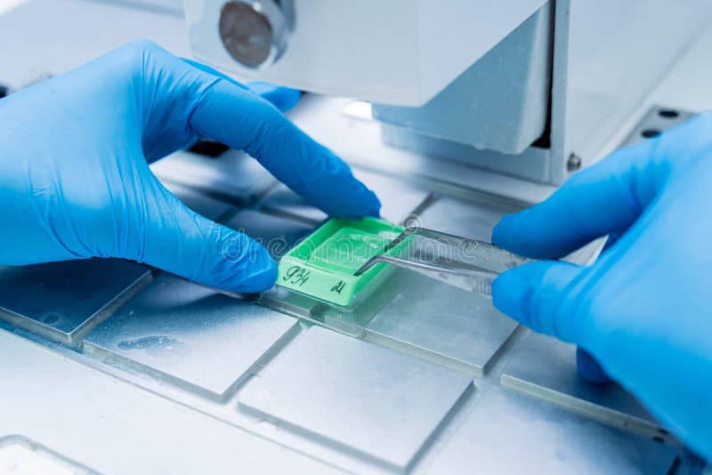Laboratory Assistant Works at Paraffin Wax Dispenser Tissue Embedding ...
