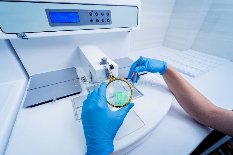 Laboratory Assistant Works at Paraffin Wax Dispenser Tissue Embedding ...