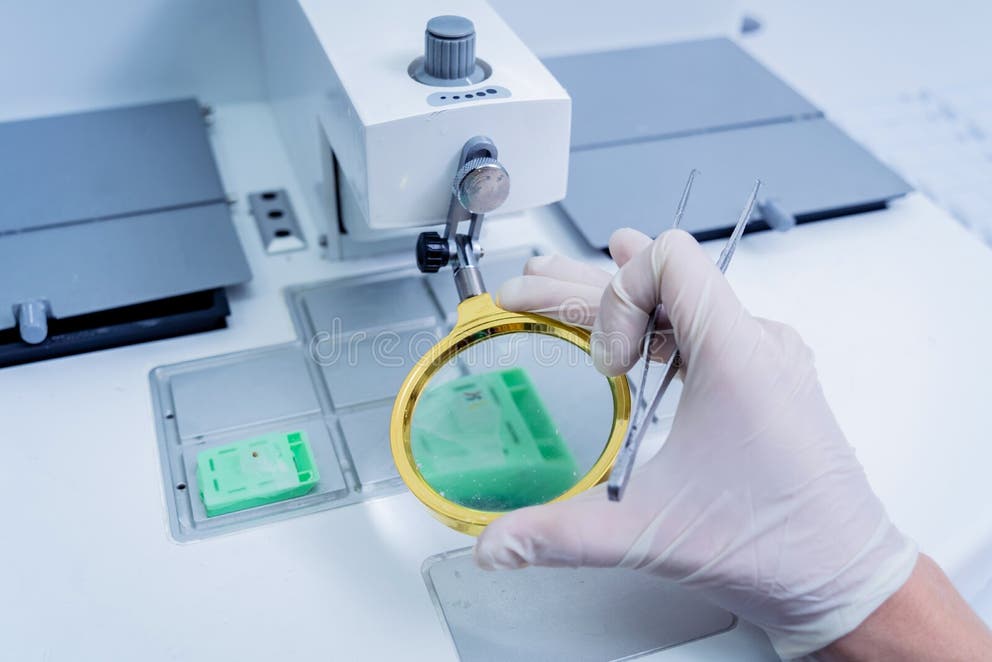 Laboratory Assistant Works at Paraffin Wax Dispenser Tissue Embedding ...