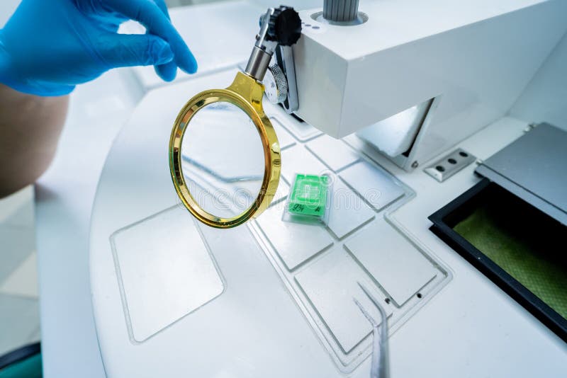 Laboratory Assistant Works at Paraffin Wax Dispenser Tissue Embedding ...