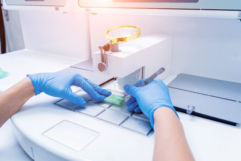 Laboratory Assistant Works at Paraffin Wax Dispenser Tissue Embedding ...