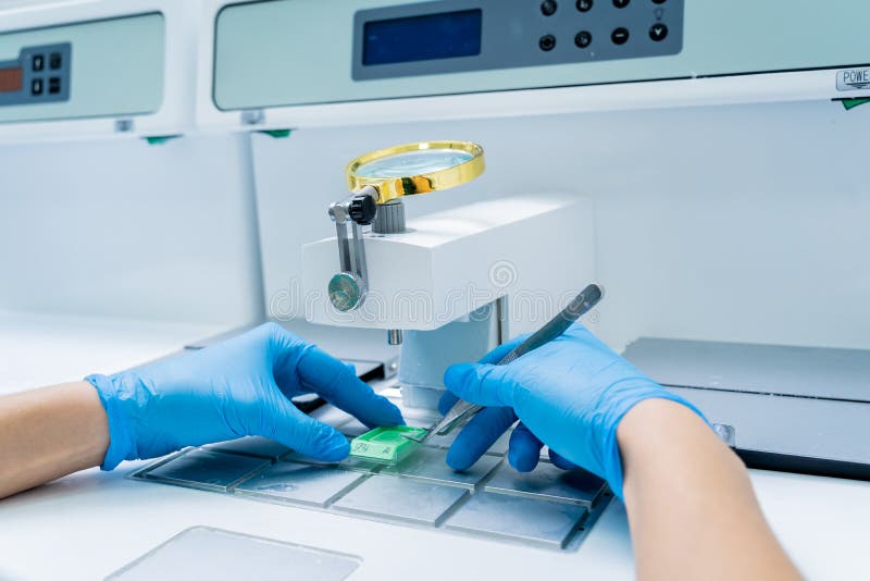 Laboratory Assistant Works at Paraffin Wax Dispenser Tissue Embedding ... Laboratory Assistant Works at Paraffin Wax Dispenser Tissue Embedding ...