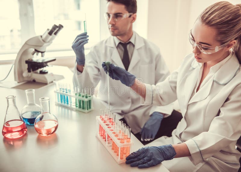 At the laboratory stock photo. Image of caucasian, dish - 91627054