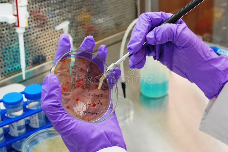 Laboratory Background, Science Test Background. Research Laboratory ...