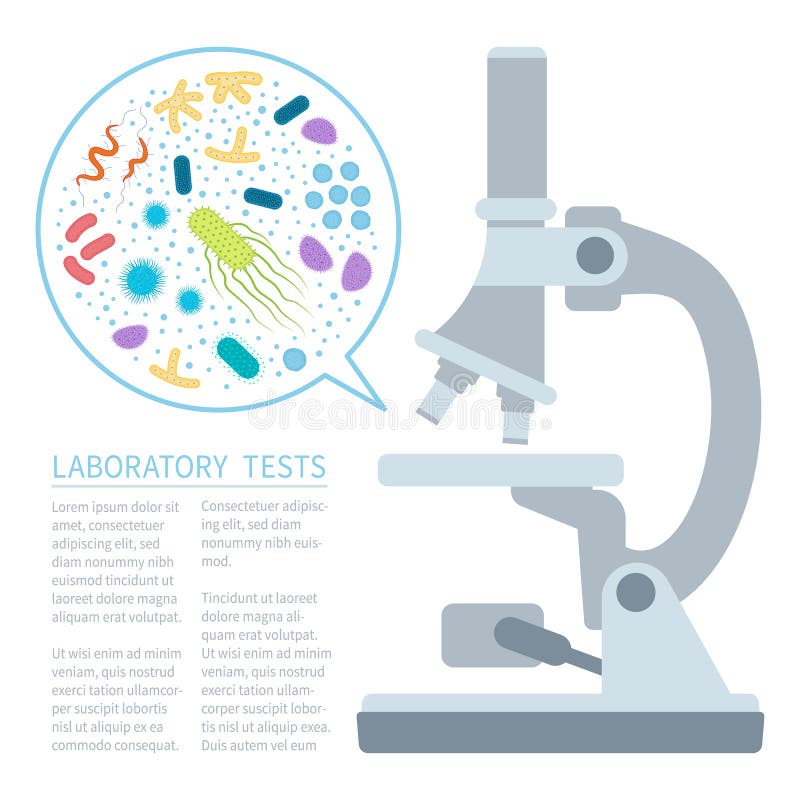 Laboratory Bacterial Research Poster Stock Vector - Illustration of ...