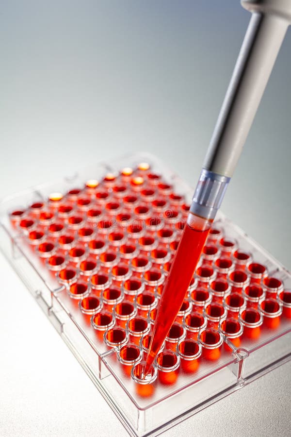 Red Solution or Blood Scientific Research with a Pipette and Cell Plate ...
