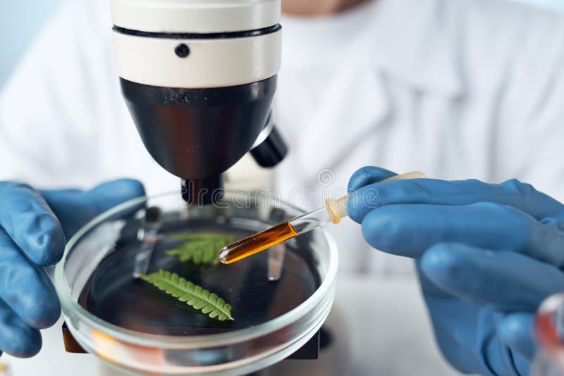 Laboratory Chemical Solutions Research Experiment Science Stock Photo ...