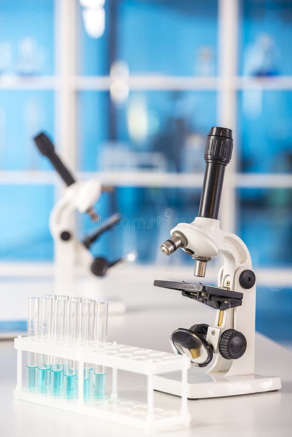 At the laboratory stock image. Image of chemist, computer - 90778205
