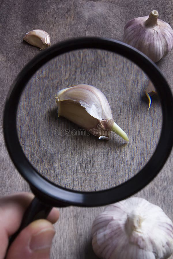 Laboratory Devices Garlic Stock Photos - Free & Royalty-Free Stock ...