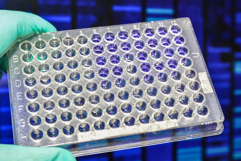 Laboratory DNA testing. stock image. Image of laboratory - 126316271