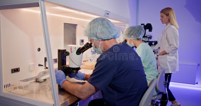 Laboratory Worker Examining Samples Under Microscope in Clinic ...