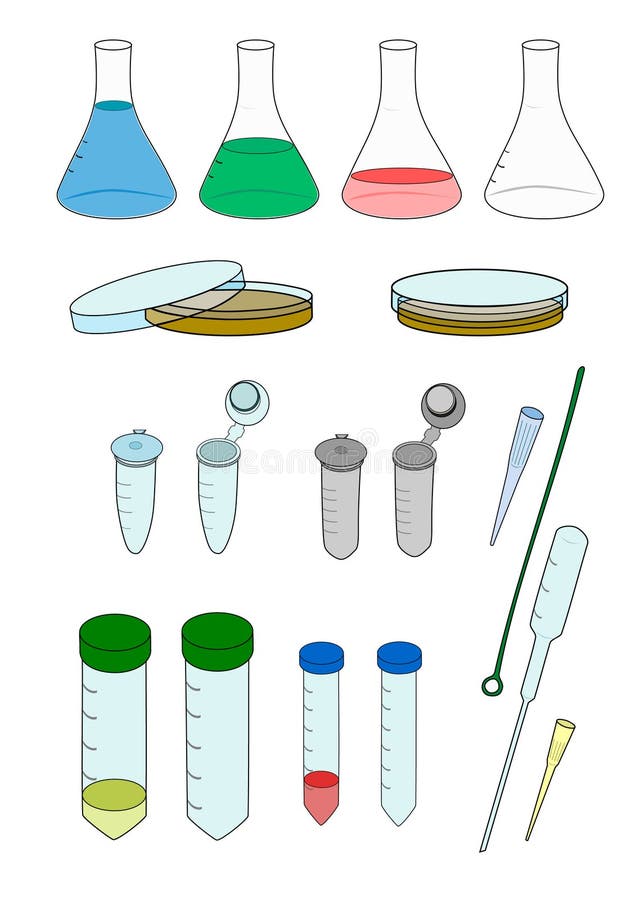 Laboratory Glassware Vector Illustration. Labeled Science Equipment Set ...