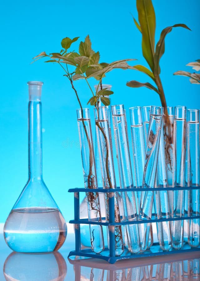 Science Still Life stock image. Image of leaf, genetically - 1522497