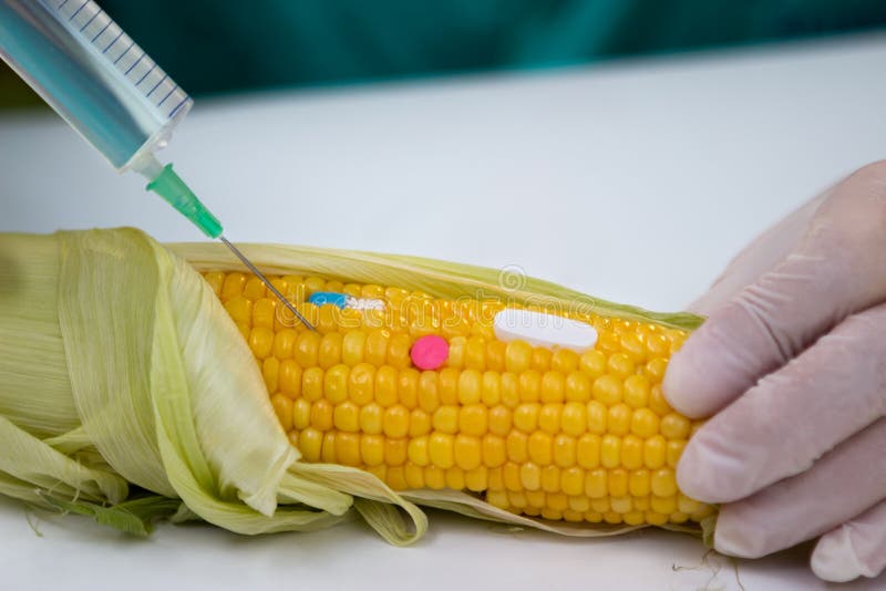 Syringe Injecting Corn Stock Photos - Free & Royalty-Free Stock Photos ...