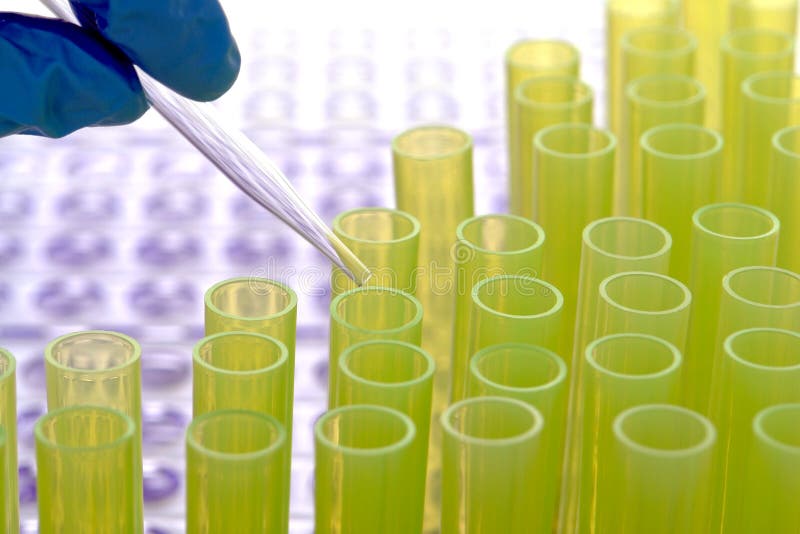 Laboratory Experiment in Science Research Lab Stock Image - Image of ...