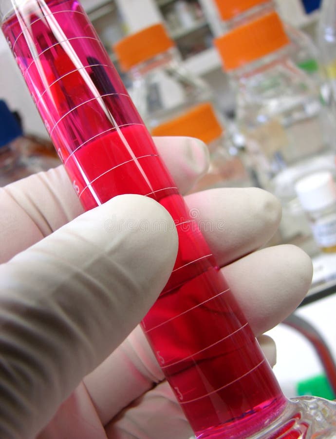 Laboratory Test Tubes in Science Research Lab Stock Photo - Image of ...