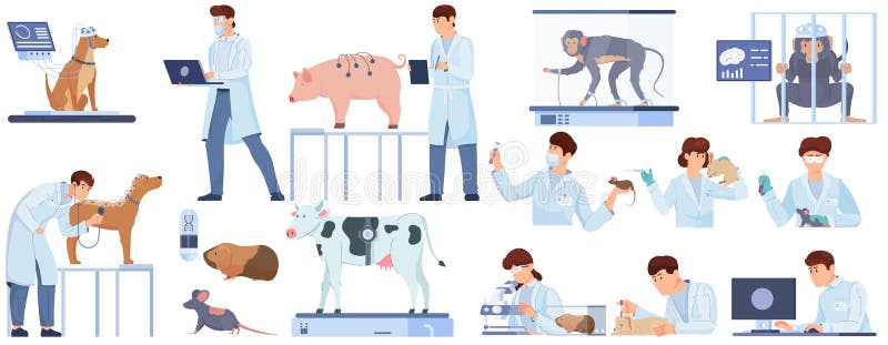 Laboratory Experiments on Animal Set Stock Vector - Illustration of ...