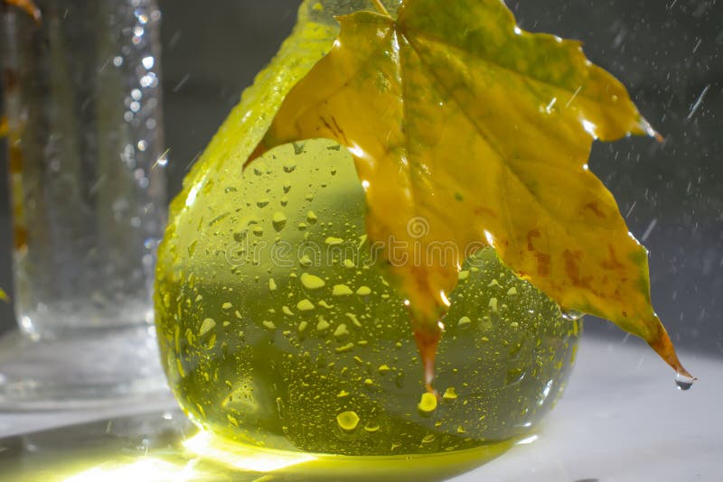 Laboratory Flask Autumn Leaf Chemical a Light Background Stock Image ...