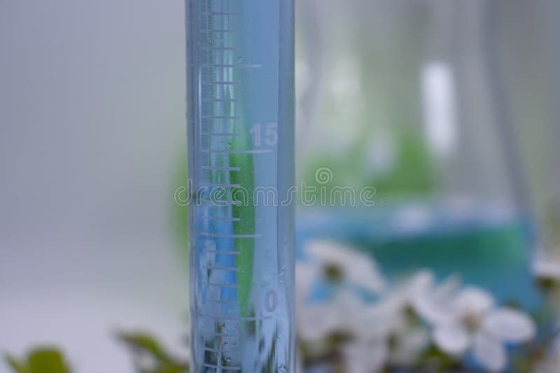 348 Botany Flower Analysis Stock Photos - Free & Royalty-Free Stock ...