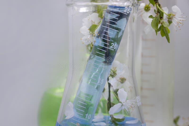 348 Botany Flower Analysis Stock Photos - Free & Royalty-Free Stock ...