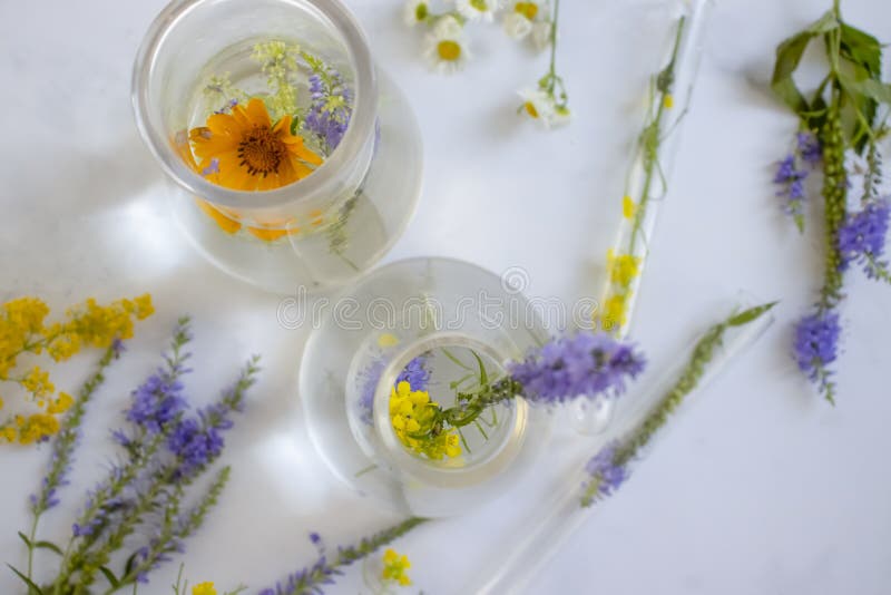 Laboratory Flask, Flower on a Alternative Essence Environment Stock ...