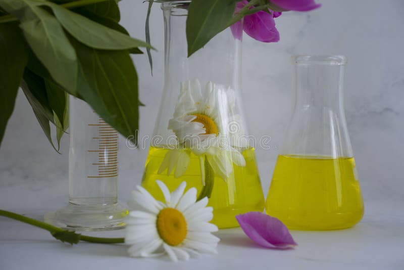 Laboratory Flask Flower on a Light Experiment Technology Stock Photo ...