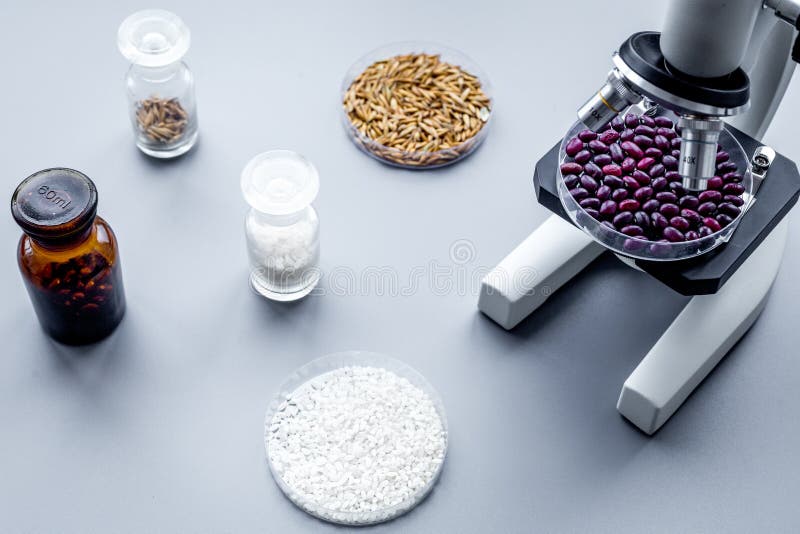 Laboratory for Food Analysis. Red Beans Under the Microscope on Grey ...