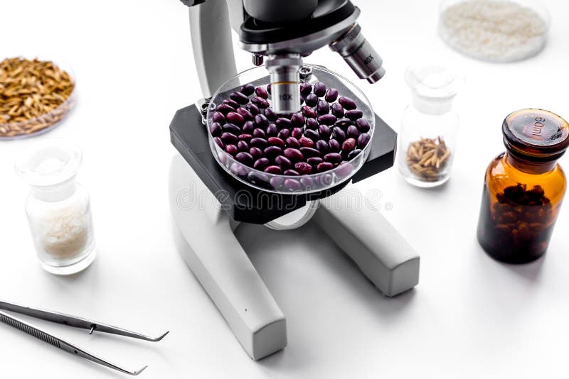 Laboratory for Food Analysis. Rice Under the Microscope on White ...