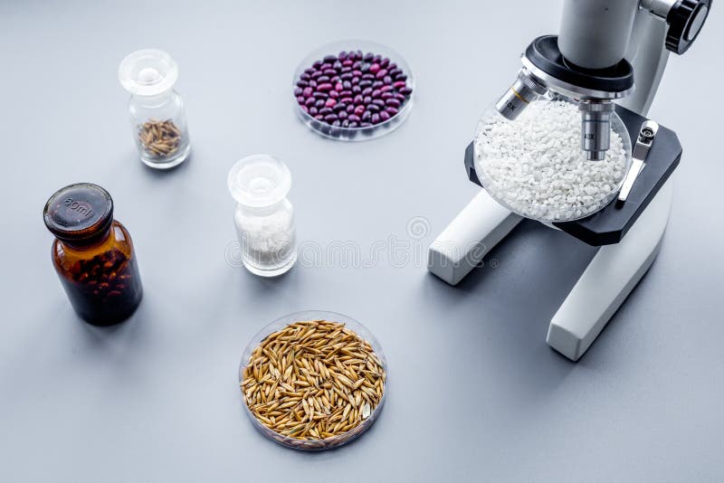Laboratory for Food Analysis. Rice Under the Microscope on Grey ...