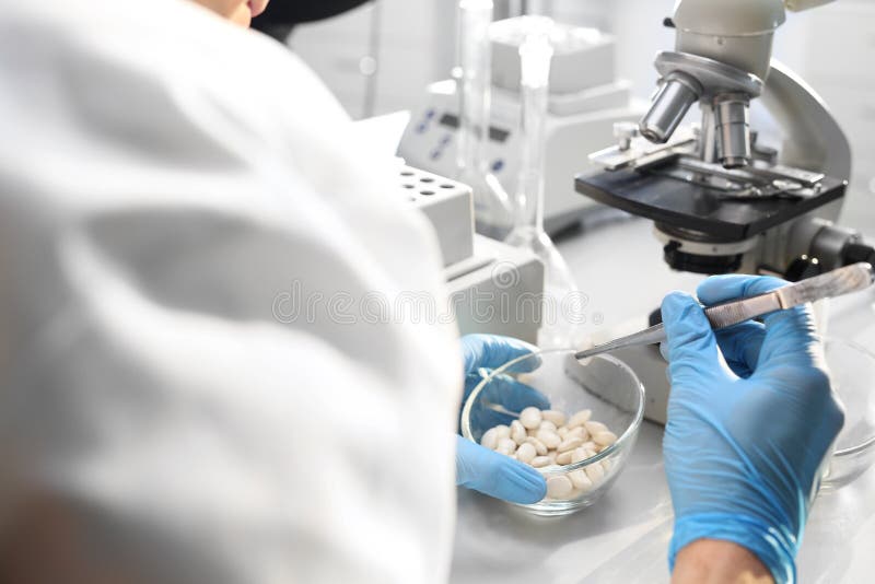 Laboratory. Food testing. stock image. Image of biotechnology - 135481043