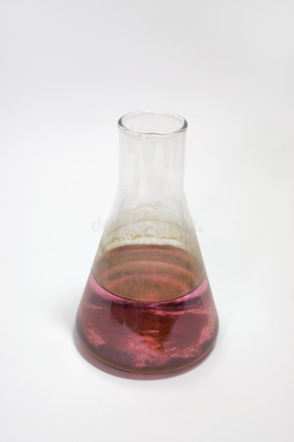 Laboratory Glass Flask, Full of Pink Solution Stock Image - Image of ...