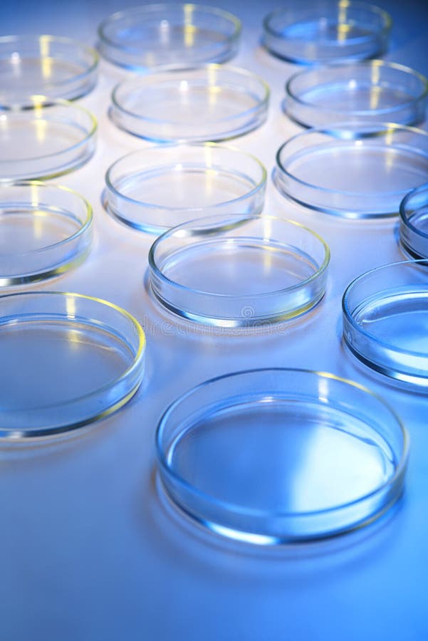 Laboratory glassware. stock image. Image of medicine - 33054567