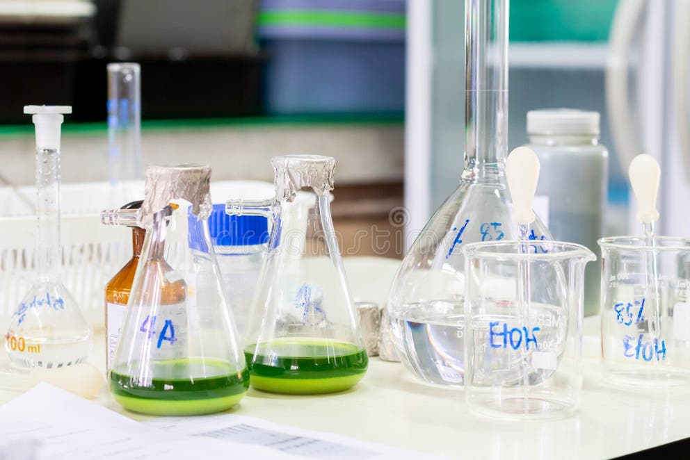 Laboratory Glassware with Green Liquid in a Science Research Laboratory ...