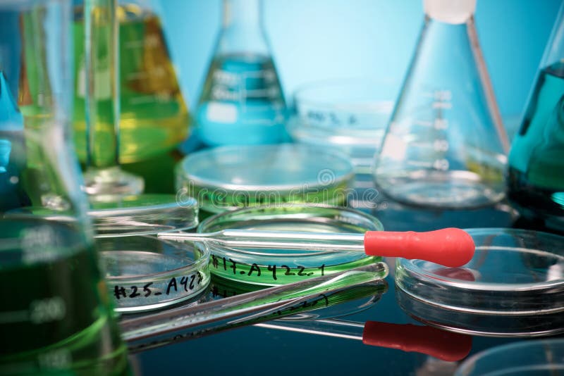 Laboratory Glassware Placed on a Table with Liquid Sample for Testing ...