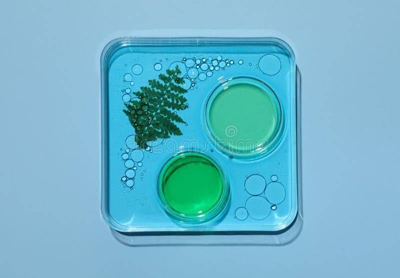 Cosmetic Lab Samples Stock Photos - Free & Royalty-Free Stock Photos ... Cosmetic Lab Samples Stock Photos - Free & Royalty-Free Stock Photos ...
