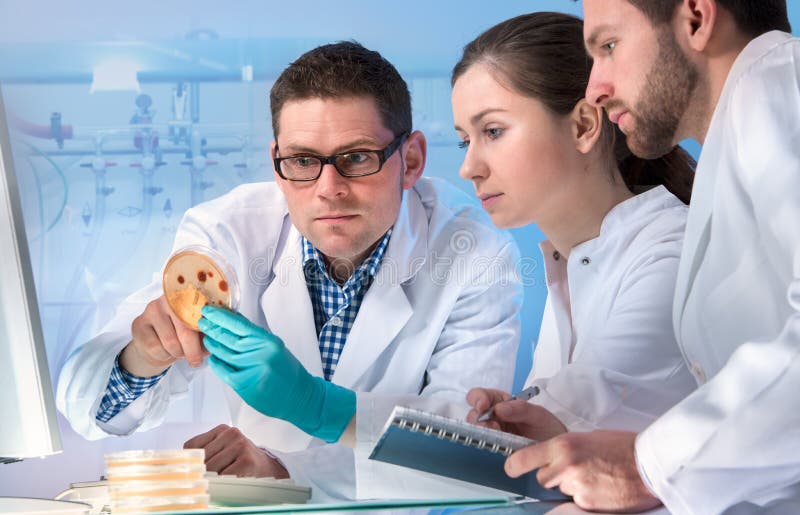 Laboratory stock image. Image of beaker, leadership, laboratory - 52560167