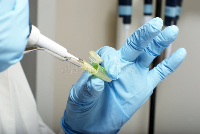 Laboratory Hands in Gloves with Sampler Stock Image - Image of glass ...