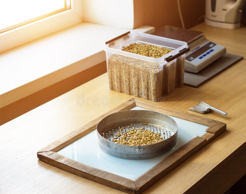 Laboratory for the Inspection and Analysis of Grain, on the Table Lies ...