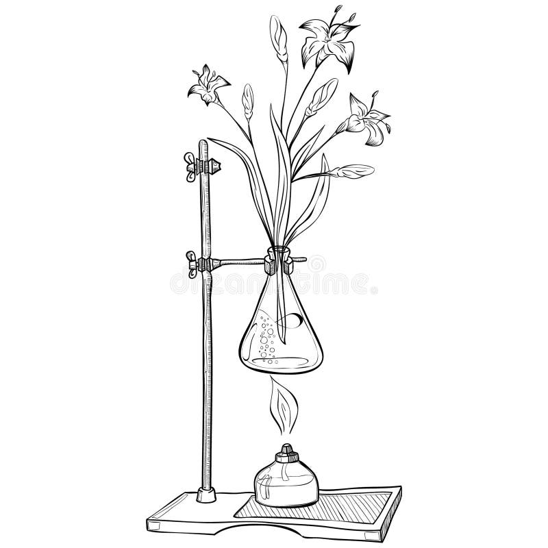 Gas Jar Experiment Stock Illustrations – 68 Gas Jar Experiment Stock ...